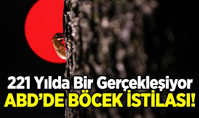 ABD, 221 Yılda Bir Gerçekleşen Böcek İstilası İle Karşı Karşıya! - USA ... ABD, 221 Yılda Bir Gerçekleşen Böcek İstilası İle Karşı Karşıya! - USA ...