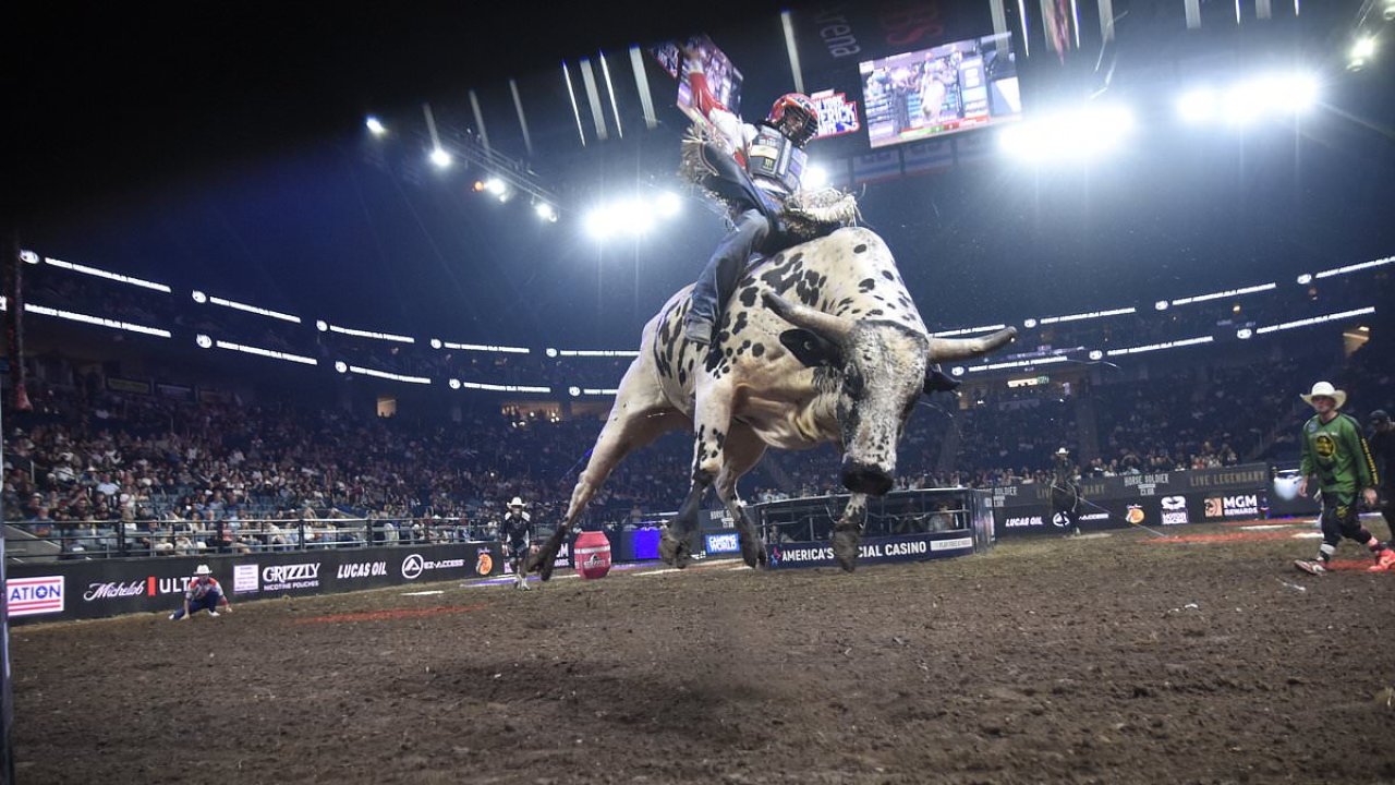 EXCLUSIVE: Inside the 'terrifying' world of Pro Bull Riding - www ...