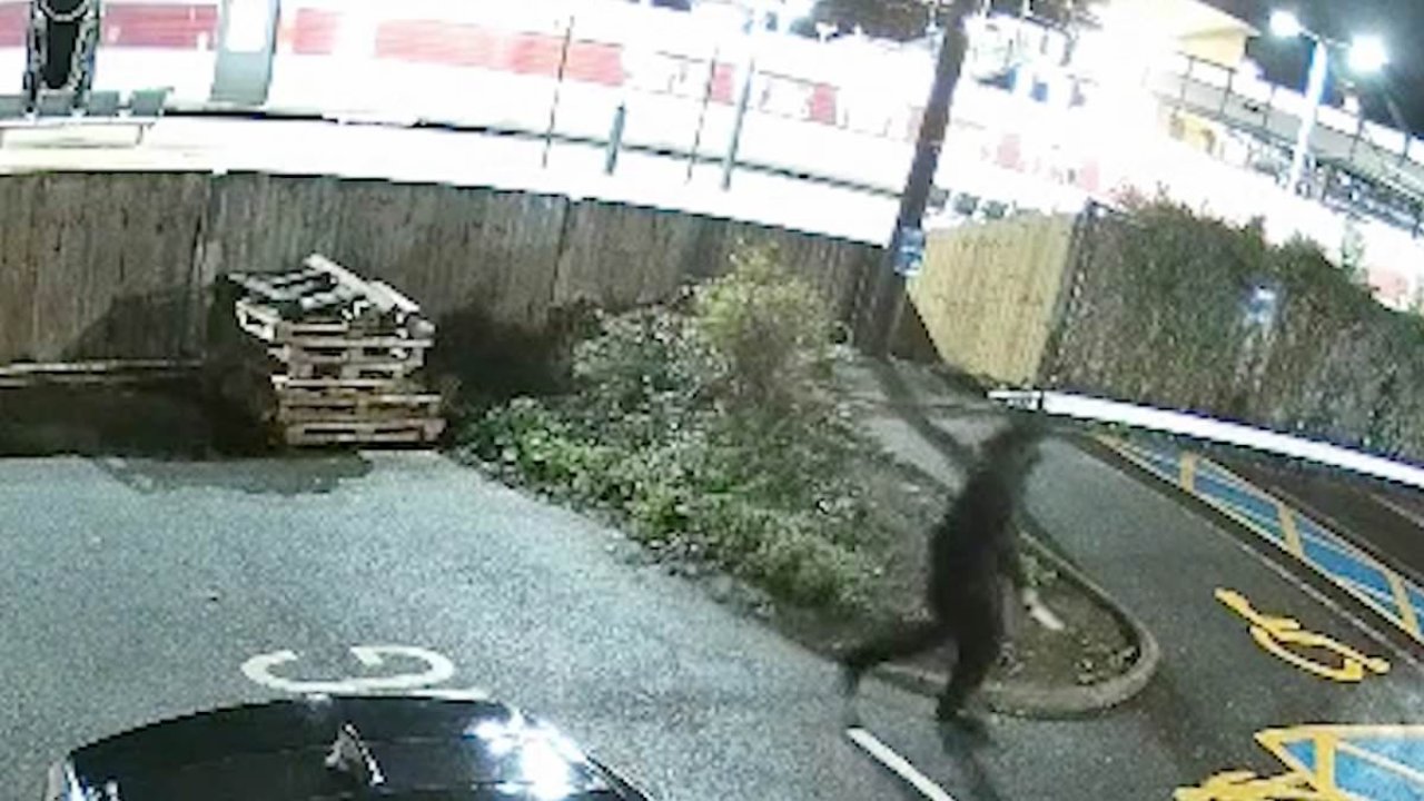 How to survive a knife attack: SAS veteran JOHN GEDDES tells all - ABDPost.com Amerika'dan Haberler