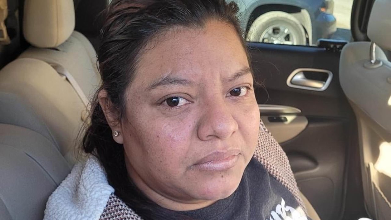 Illegal migrant detained after 'running red light & crashing into ICE ...