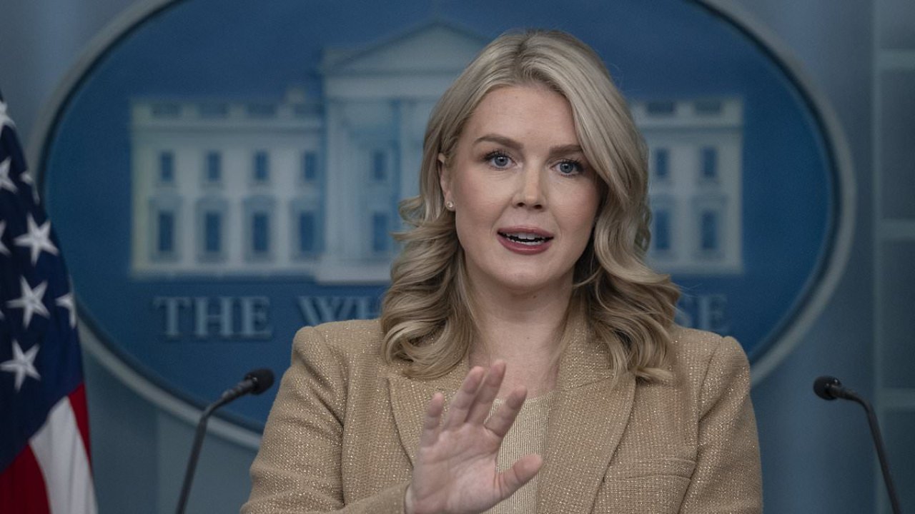 Karoline Leavitt eviscerates NYT reporter over 'false' Trump hit piece ...